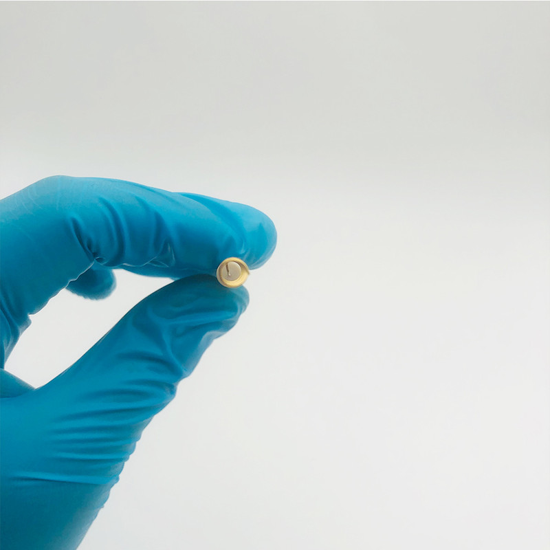Cheap Gold Wire Ring Counter Electrode φ0.5*100mm - Dekresearch