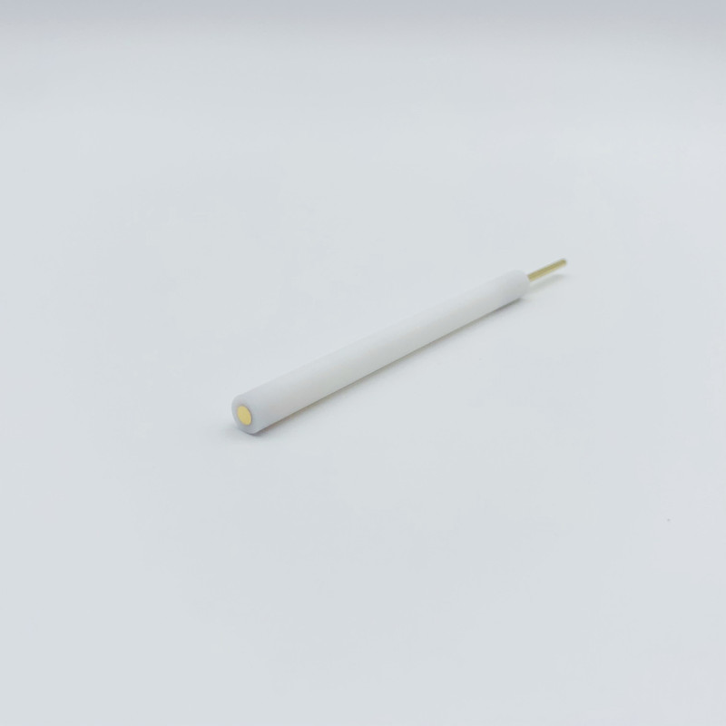 Gold Disk Electrode Straight Type PTFE Rod φ3mm - Dekresearch India